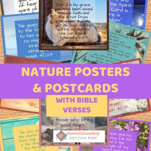 10 Encouraging Bible Verse Posters and Memory Cards - Homeschooling ...