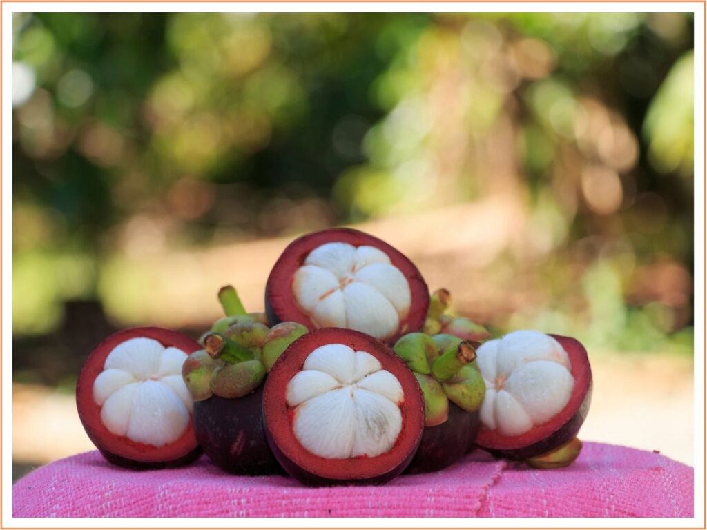 12 Reasons Why Mangosteen May be a Super Fruit - Homeschooling ...